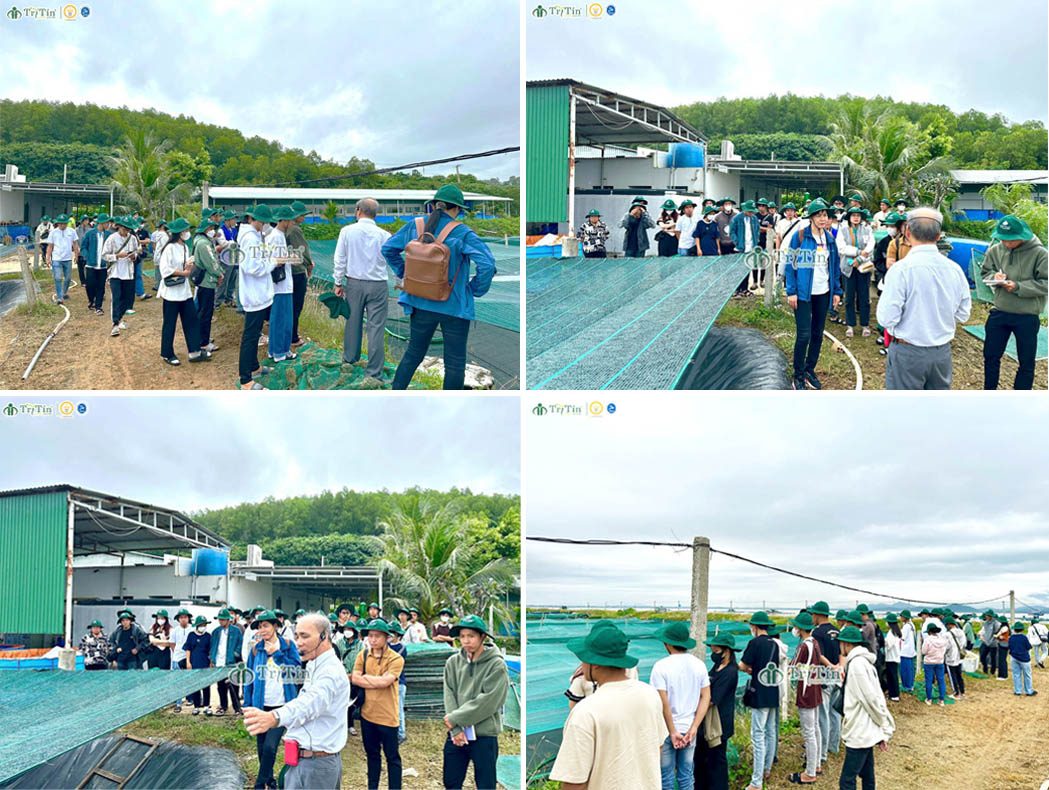 TRƯỜNG ĐẠI HỌC AN GIANG THAM QUAN XƯỞNG RONG